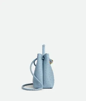 Bottega Veneta Small Andiamo Top Handle Bag In Ostrich Leather
