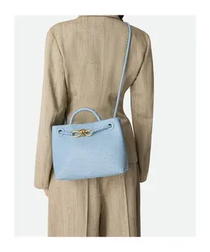 Bottega Veneta Small Andiamo Top Handle Bag In Ostrich Leather