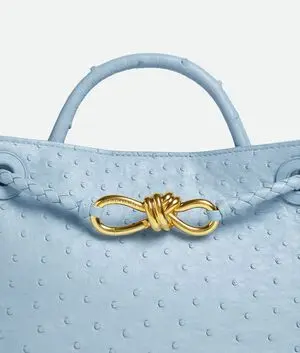 Bottega Veneta Small Andiamo Top Handle Bag In Ostrich Leather