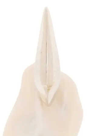 Bottega Veneta Asymmetrical Pearl Single Earring
