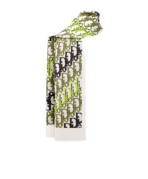 Dior Oblique Scarf - Multi-color