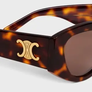 Celine Triomphe 15 Sunglasses In Acetate - Brown