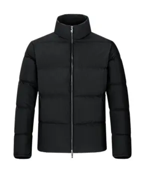 Emporio Armani High-neck Zip-up Padded Jacket - Black