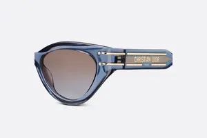 Dior Signature B7i Sunglasses - Gray