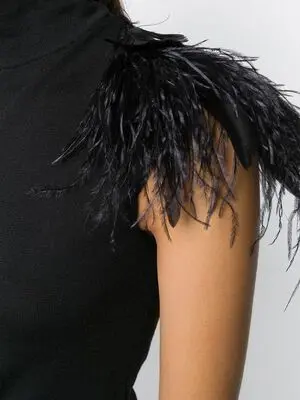 Alberta Ferretti Feather-trimmed High Neck Blouse