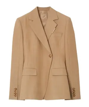 Burberry Single-breasted Tailored Jacket