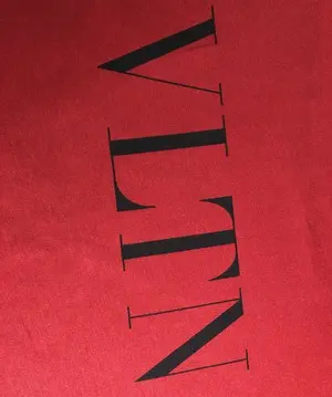 Valentino Garavani Vltn Logo T-shirt
