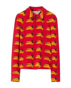 Burberry Printed Long Sleeve Shirt