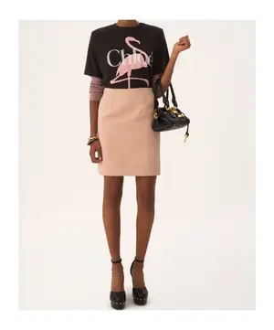 Chloé Fitted Skirt
