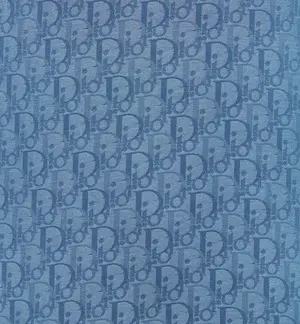 Dior All-over Monogram Shorts