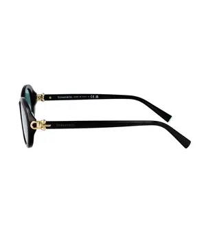 TIFFANY  CO. Tiffany & Co. Oval Sunglasses
