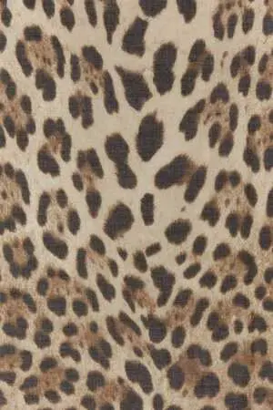 Dolce & Gabbana Dolce Gabbana Leopard-print Frayed Edge Scarf