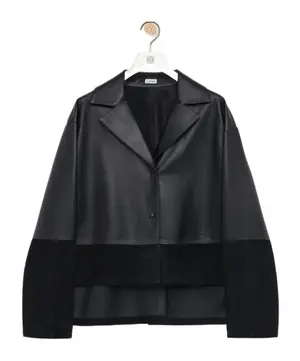 Loewe Paneled Button-up Blouse