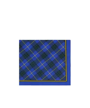 Burberry Burberry Checked Scarf Blue