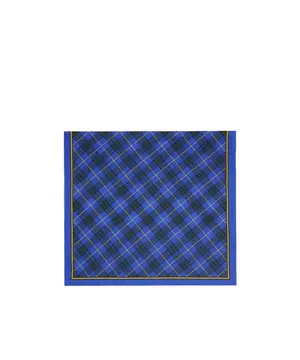 Burberry Checked Scarf - Blue
