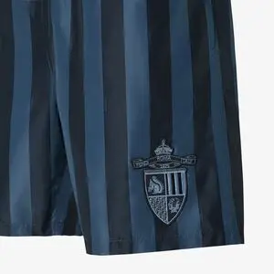 Fendi Striped Drawstring Swim Shorts - Blue
