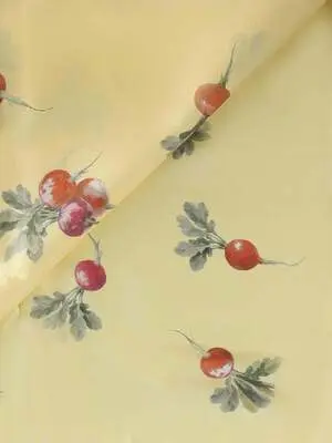 Jacquemus Radish Print Scarf