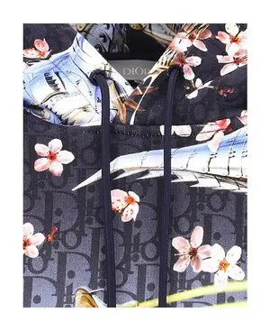 Dior Floral Dinosaur Print Hooded Sweater