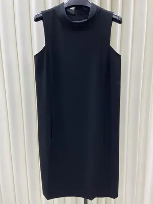 Max Mara Sleeveless Dress With High Neck