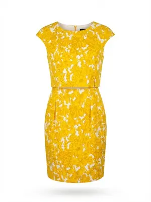 Max Mara Short Sleeve Crewneck Dress With Graphic Print - Yellow