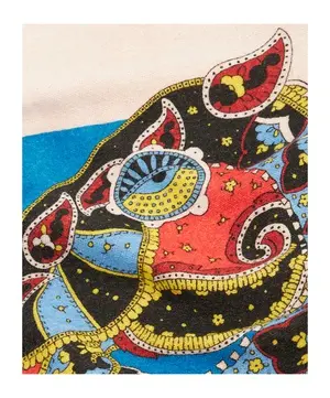Etro Logo Detailed Color-block Blanket