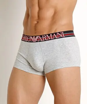 Emporio Armani Logo Underwear - Gray