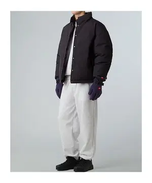 The North Face Red Box Series Down Jacket With Stand Collar - Obsidian