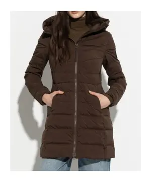 Canada Goose Clair Hooded Padded Coat - Brown