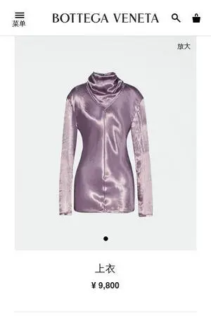 Bottega Veneta Cowl Neck Long Sleeve Top