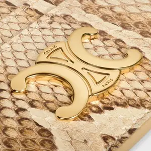 Celine Card Holder Triomphe In Python - Natural