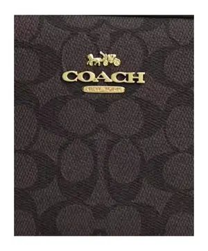 COACH Mini Jamie's Signature Canvas Camera Bag