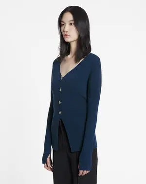 LANVIN V-neck Buttoned Long-sleeve Cardigan - Blue