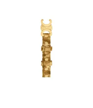Celine Small Triomphe Belt In Triomphe Canvas