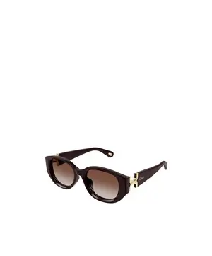 Chloé Eyewear Oval Frame Sunglasses