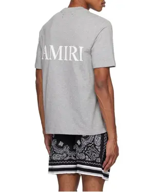Amiri Core Logo T-shirt - Gray