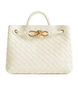 BOTTEGA VENETA Small Andiamo