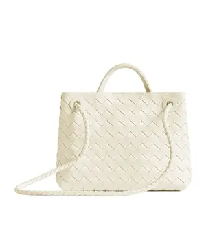 Bottega Veneta Small Andiamo Bag - Sea Salt