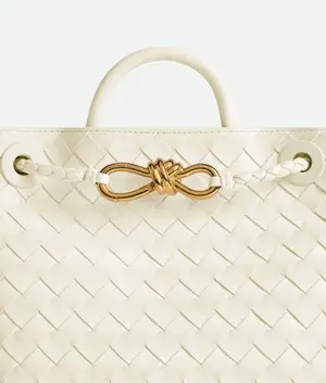 Bottega Veneta Small Andiamo Bag - Sea Salt