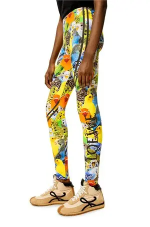 Loewe High-waist Bird-printed Leggings
