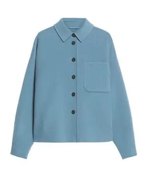 Max Mara Buttoned Long-sleeve Jacket With Pointed Collar