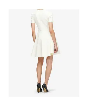 Alexander McQueen Fit And Flare Mini Dress