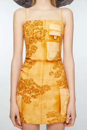 Acne Studios Printed Mini Dress