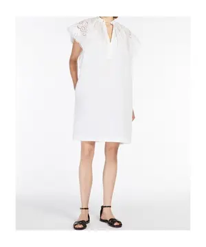Max Mara Astor V-neck Mini Dress
