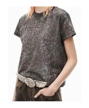 Alexander Wang Splatter-wash Crewneck T-shirt