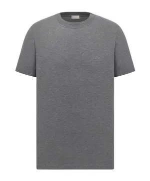 Dior Icons Regular Fit T-shirt - Gray
