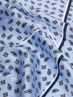 Max Mara Printed Silk Oversized Scarf - Blue