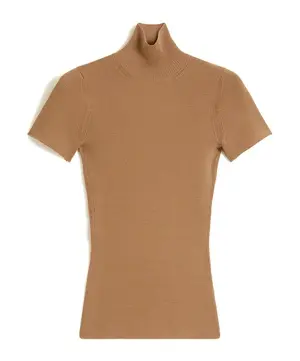 Max Mara High Neck Short Sleeve Jumper - Brown