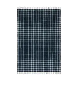 Etro Plaid Scarf - Black