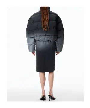 Alexander Wang Cropped Puffer Jacket - Silver/black