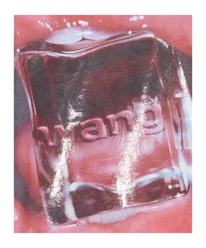 Alexander Wang Graphic Print Crewneck T-shirt - No